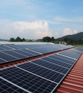 Home - Professional Support for MCS Certification