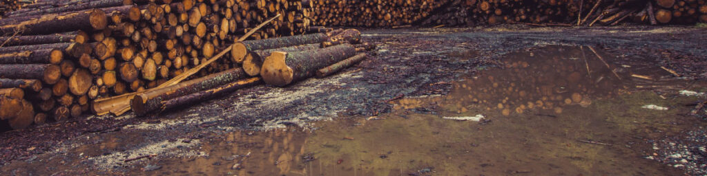 Why Should You Become MCS Accredited?